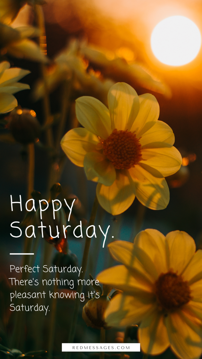 100+ Happy Saturday Wishes, Quotes, and Blessings