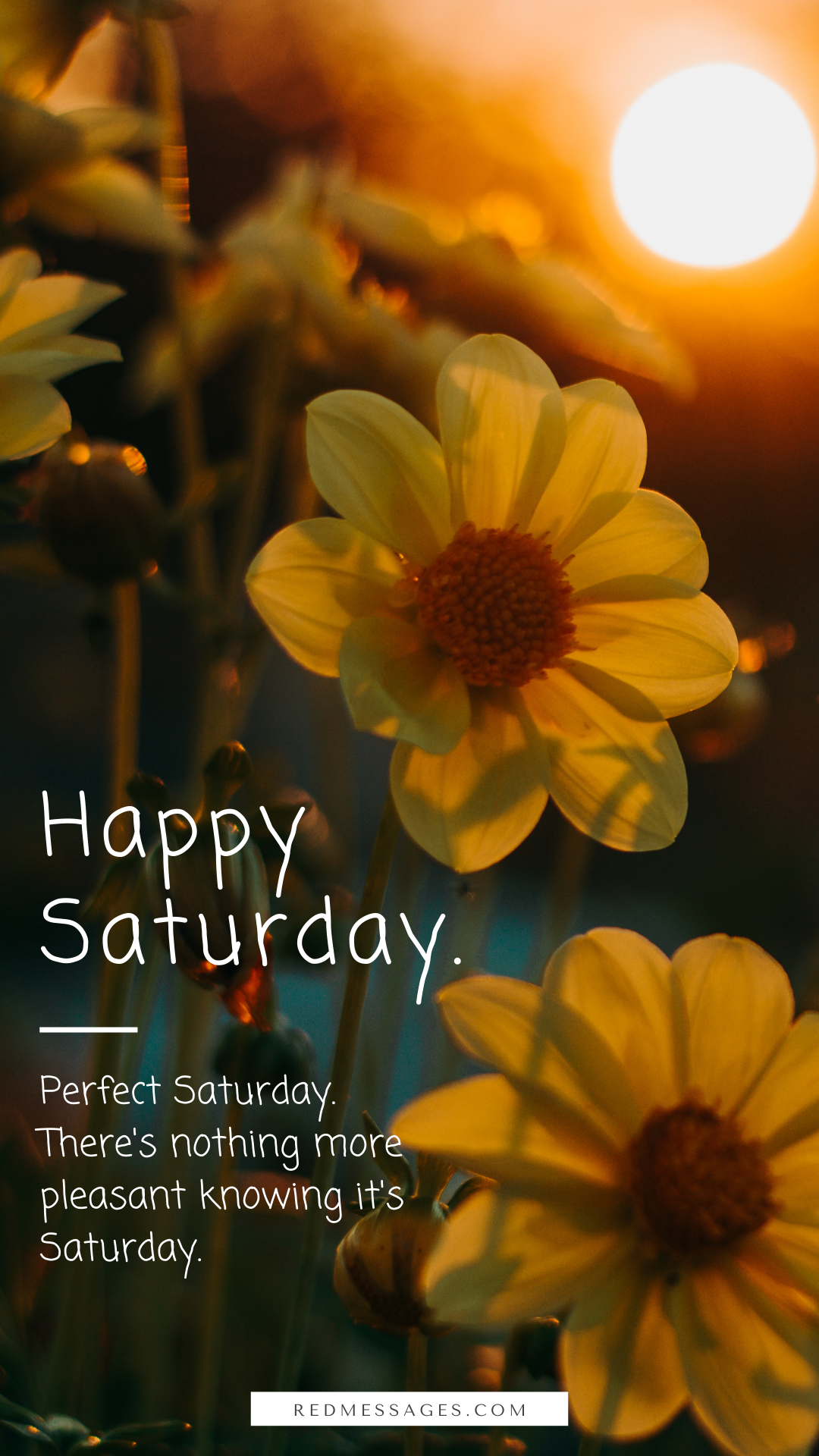 100+ Happy Saturday Wishes, Quotes, and Blessings