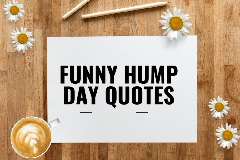 75+ Funny Hump Day Quotes to Get You Through the Week - Red Messages